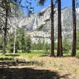 Sentinel Meadow Cook's Meadow Loop Trail, California - 3,712 Reviews ...