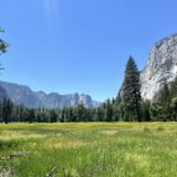 Sentinel Meadow Cook's Meadow Loop Trail, California - 3,716 Reviews ...