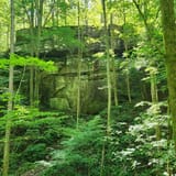 Hemlock Cliffs National Scenic Trail, Indiana - 1,366 Reviews, Map ...