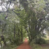 Pre's Trail, Oregon - 868 Reviews, Map | AllTrails