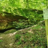 Hemlock Cliffs National Scenic Trail, Indiana - 1,366 Reviews, Map ...