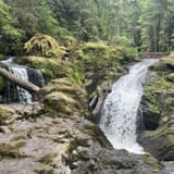 Little Mashel Falls Trail via Bud Blancher Trail, Washington - 3,808 ...