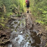Mount Redfield and Cliff Mountain via Calamity Brook Trail, New York ...