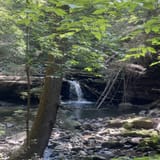 Fiery Gizzard Loop, Tennessee - 1,269 Reviews, Map | AllTrails