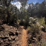 Atalaya Mountain Trail, New Mexico - 2,869 Reviews, Map | AllTrails