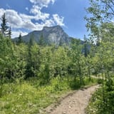 Heart Creek Trail, Alberta, Canada - 3,550 Reviews, Map | AllTrails