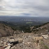 Dunraven Pass to Mount Washburn, Montana - 1,576 Reviews, Map | AllTrails