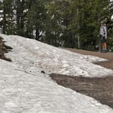 Dunraven Pass to Mount Washburn, Montana - 1,576 Reviews, Map | AllTrails