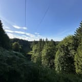 Dickerson Falls, Washington - 2,494 Reviews, Map | AllTrails