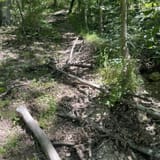 Deer Run Trail, Missouri - 822 Reviews, Map | AllTrails