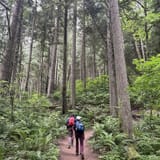 Chuckanut Falls, Washington - 635 Reviews, Map | AllTrails