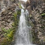 Fall Creek Falls Trail, Oregon - 375 Reviews, Map | AllTrails