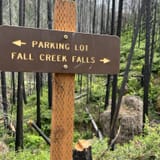 Fall Creek Falls Trail, Oregon - 375 Reviews, Map | AllTrails