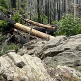 Fall Creek Falls Trail, Oregon - 375 Reviews, Map | AllTrails