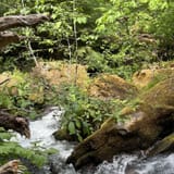 Watson Falls, Oregon - 1,240 Reviews, Map | AllTrails