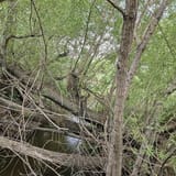 LOBO Trail: Longmont to Boulder Path, Colorado - 424 Reviews, Map ...