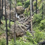 Fall Creek Falls Trail, Oregon - 375 Reviews, Map | AllTrails