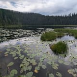 Fish Lake, Montana - 596 Reviews, Map | AllTrails
