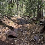 Box Canyon Trail, Arizona - 406 Reviews, Map | AllTrails