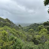 Okolehao Viewpoint via Okolehao Trail, Kaua'i, Hawaii - 2,798 Reviews ...