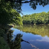 Raven Rock Loop Trail, North Carolina - 2,661 Reviews, Map | AllTrails