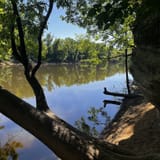 Raven Rock Loop Trail, North Carolina - 2,635 Reviews, Map | AllTrails