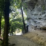 Raven Rock Loop Trail, North Carolina - 2,689 Reviews, Map | AllTrails