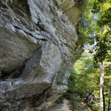 Raven Rock Loop Trail, North Carolina - 2,661 Reviews, Map | AllTrails