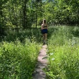 Luton Park Trail, Michigan - 1,158 Reviews, Map | AllTrails