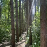 Luton Park Trail, Michigan - 1,158 Reviews, Map | AllTrails