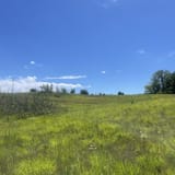 Luton Park Trail, Michigan - 1,158 Reviews, Map | AllTrails