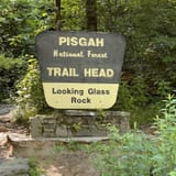 Looking Glass Rock Trail, North Carolina - 7,571 Reviews, Map | AllTrails