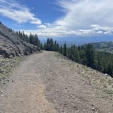 Dunraven Pass to Mount Washburn, Montana - 1,576 Reviews, Map | AllTrails