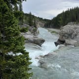 Elbow Falls Loop, Alberta, Canada - 469 Reviews, Map | AllTrails
