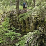 Natural Bridges, Washington - 51 Reviews, Map | AllTrails