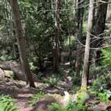 Lighthouse Park Viewpoint Loop, British Columbia, Canada - 1,746 ...