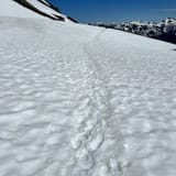 Harding Icefield Trail, Alaska - 3,105 Reviews, Map | AllTrails
