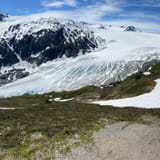 Harding Icefield Trail, Alaska - 3,105 Reviews, Map | AllTrails