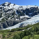 Harding Icefield Trail, Alaska - 3,105 Reviews, Map | AllTrails