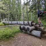Easy Pass Trail, Washington - 514 Reviews, Map | AllTrails