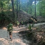 Mount Cammerer Loop - Low Gap and Lower Cammerer [CLOSED], Tennessee ...