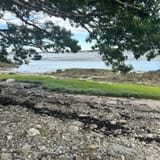 Timber Point, Maine - 397 Reviews, Map | AllTrails