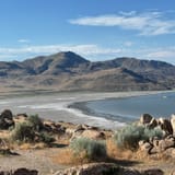 Buffalo Point Trail, Utah - 1,244 Reviews, Map | AllTrails
