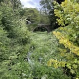 Muckross Lake Loop, County Kerry, Ireland - 275 Reviews, Map | AllTrails