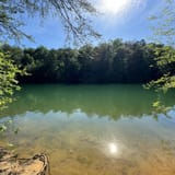 Lake Blue Ridge Loop , Georgia - 821 Reviews, Map | AllTrails