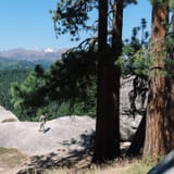 Cheese Rock Trail, Washington - 441 Reviews, Map | AllTrails