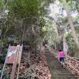 Bukit Soga Loop, Johor, Malaysia - 46 Reviews, Map | AllTrails