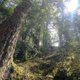 Mount Storm King, Washington - 12,192 Reviews, Map | AllTrails