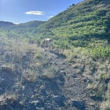 Big Beacon Mount Wire Trail, Utah - 1,579 Reviews, Map | AllTrails
