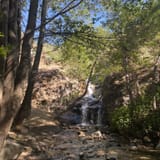 Etiwanda Falls Trail, California - 6,257 Reviews, Map | AllTrails